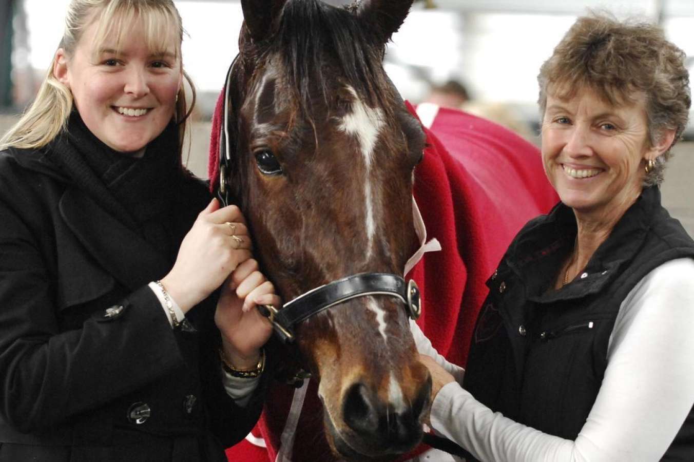 Harness racing trainer Karlene Tindale to have first thoroughbred ...