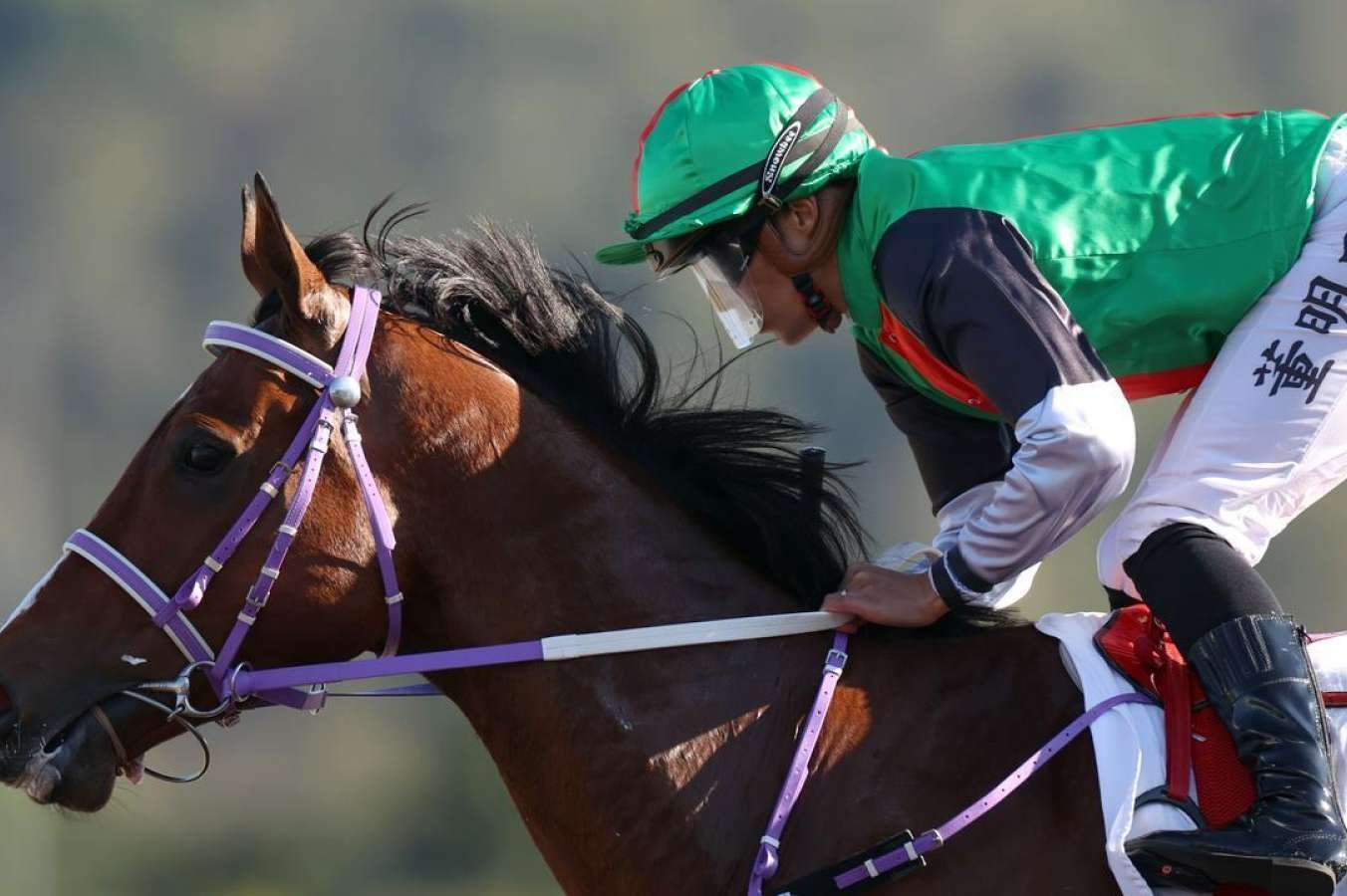 Mask Rider aims to back up stunning debut win at Sha Tin