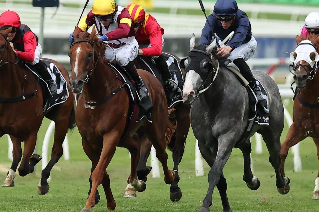 Well-fancied flops and forgives from Saturdays racing at Randwick and ...