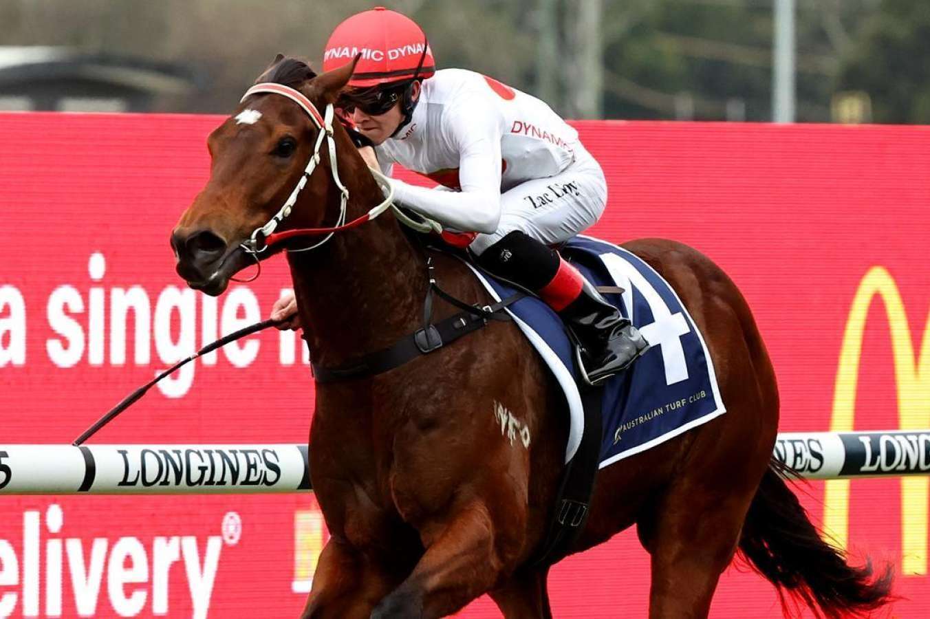Trainer Jason Deamer enlists James McDonald as Hard To Say hunts ...