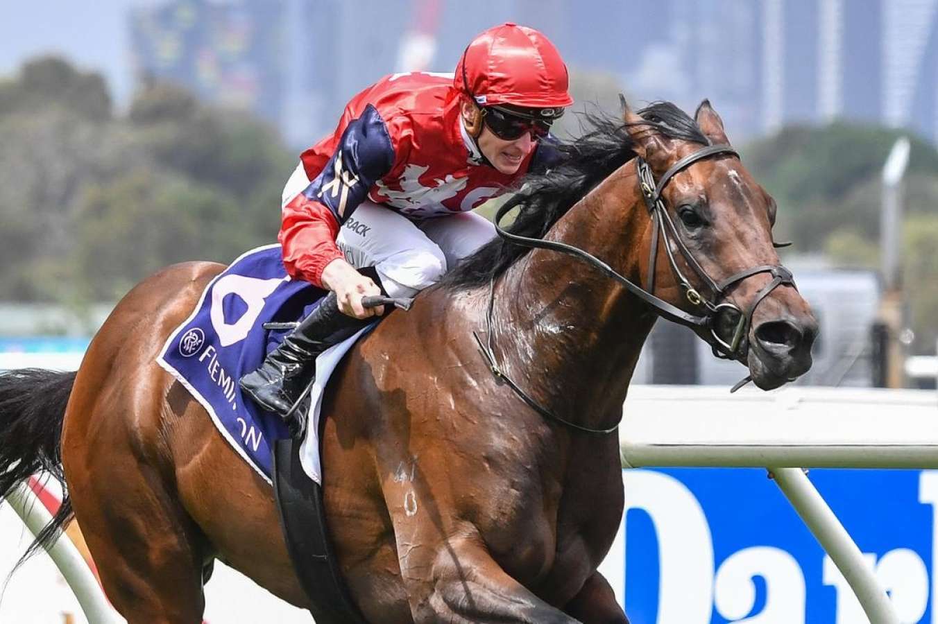 Sydney sprinter Schwarz the second favourite for Group 2 Australia ...