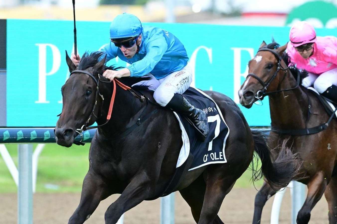 Trainer Bjorn Baker ponders tricky path to the Golden Slipper for Magic ...