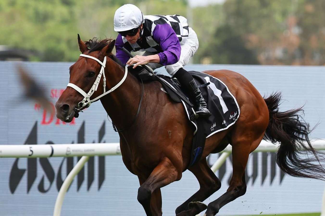 James McDonald snaps Osipenkos winning drought in January Cup to bring ...