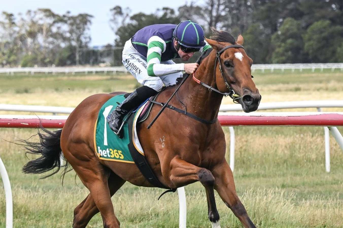 Rising sprinter Major Share to test his potential down Flemington straight