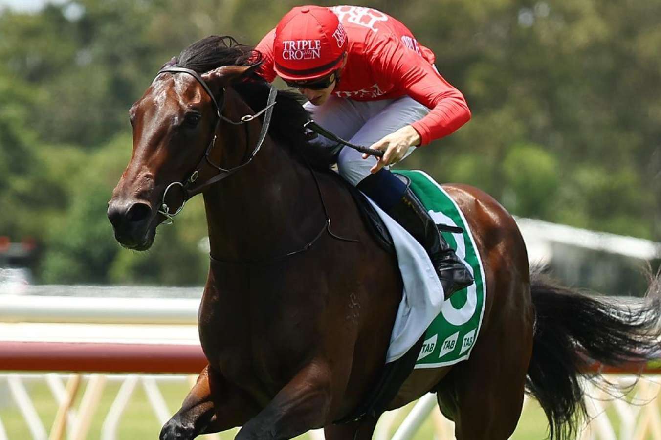 Impressive Wyong debut winner Kujenga has bigger targets this ...