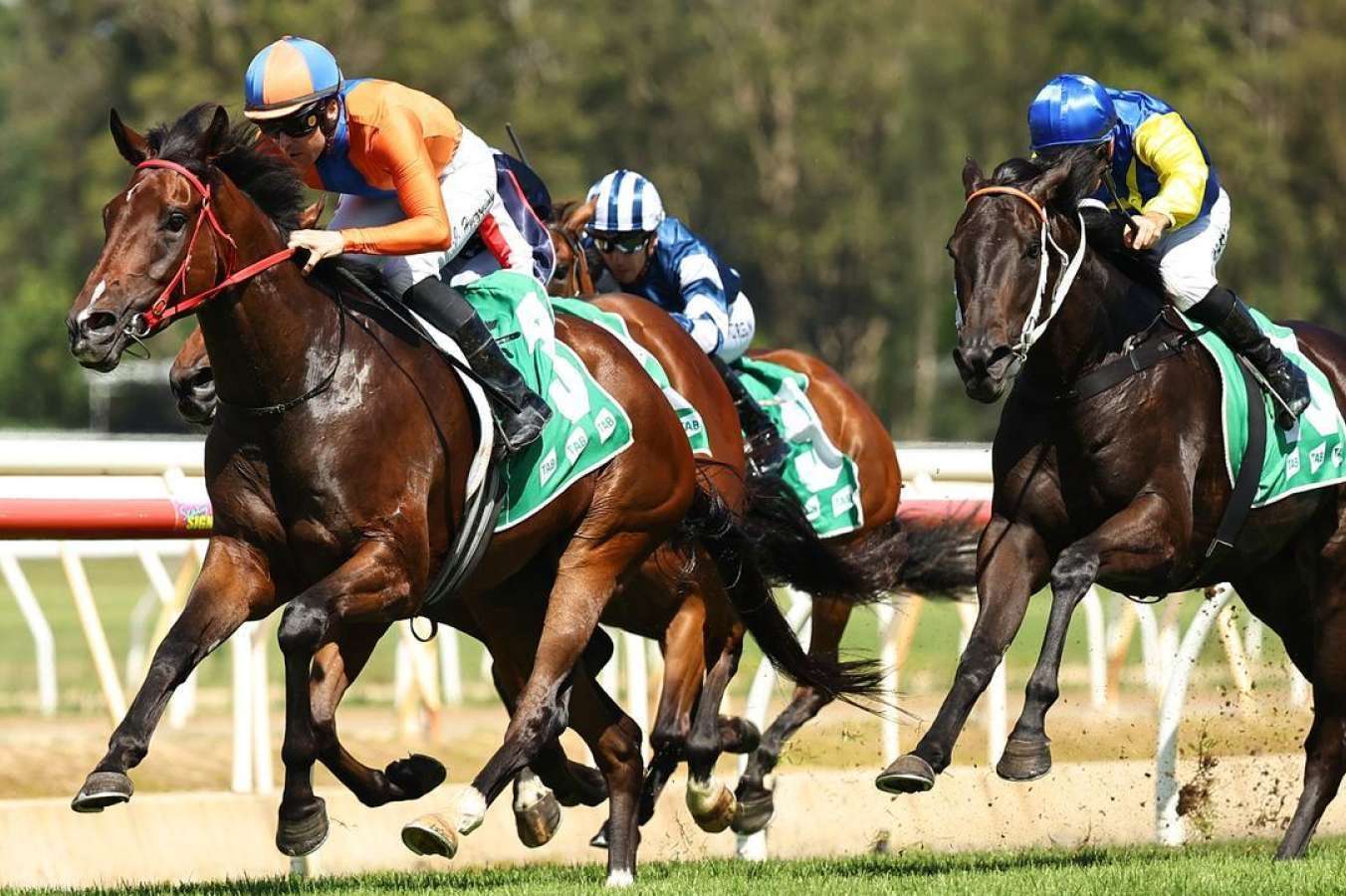 A failed vet test for Hong Kong has kept Headley Grange is Australia to ...