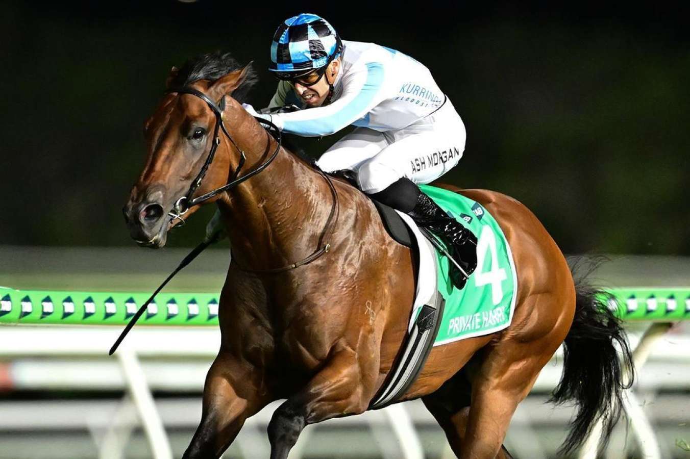 Unbeaten juvenile Private Harry upstages big name rivals in lucrative ...
