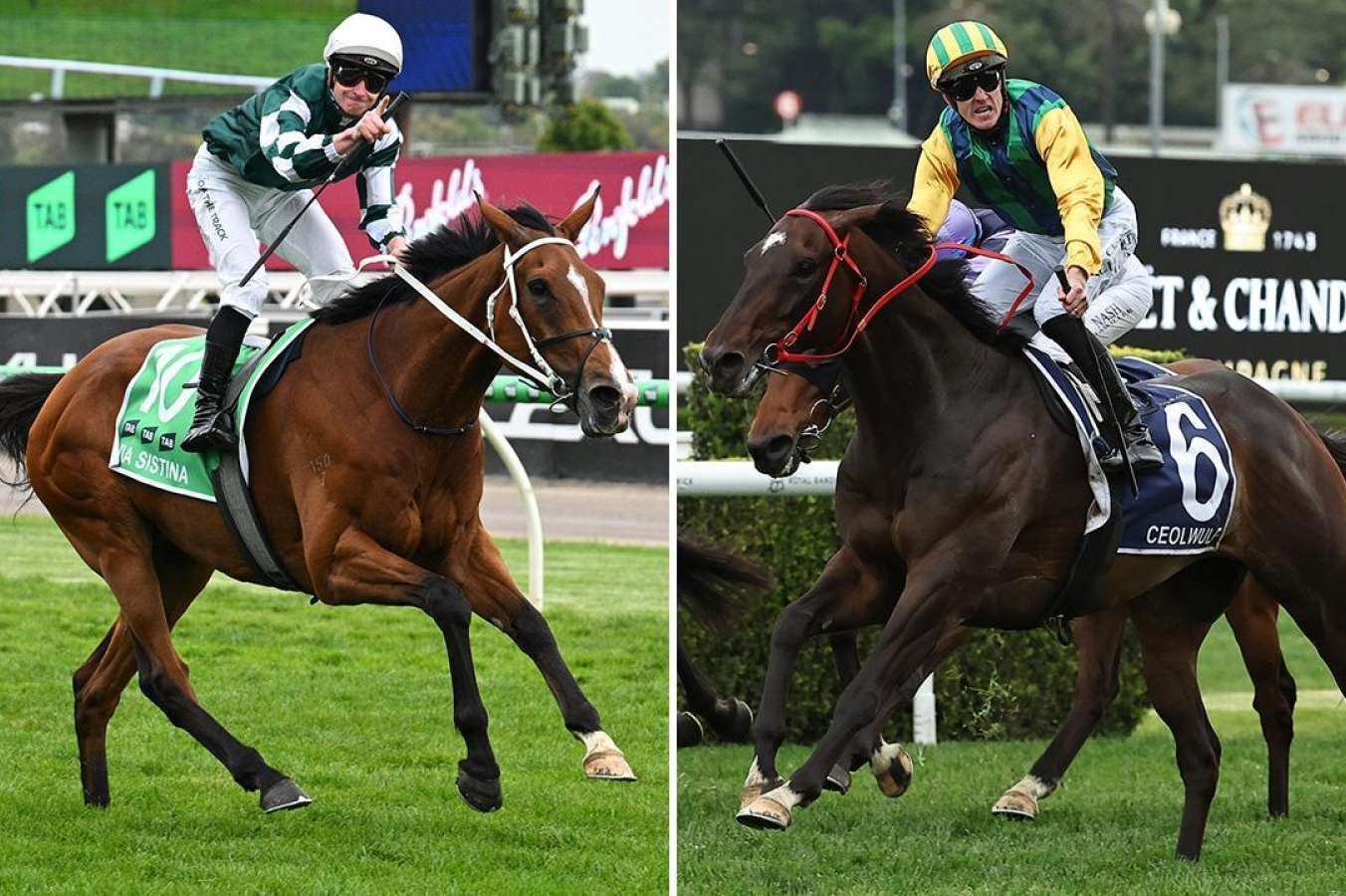 Ceolwulf vs. Via Sistina: Trainer Joe Pride reveals 2025 Queen Elizabeth Stakes plan for 2024 ...