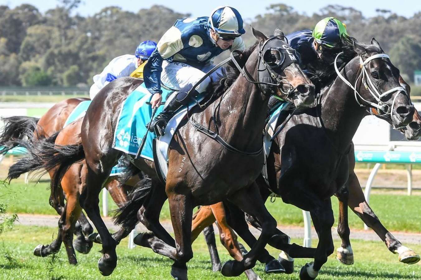 Ciaron Maher Racing eyes NZ raid with Listed Bagot Handicap hopeful Interpretation