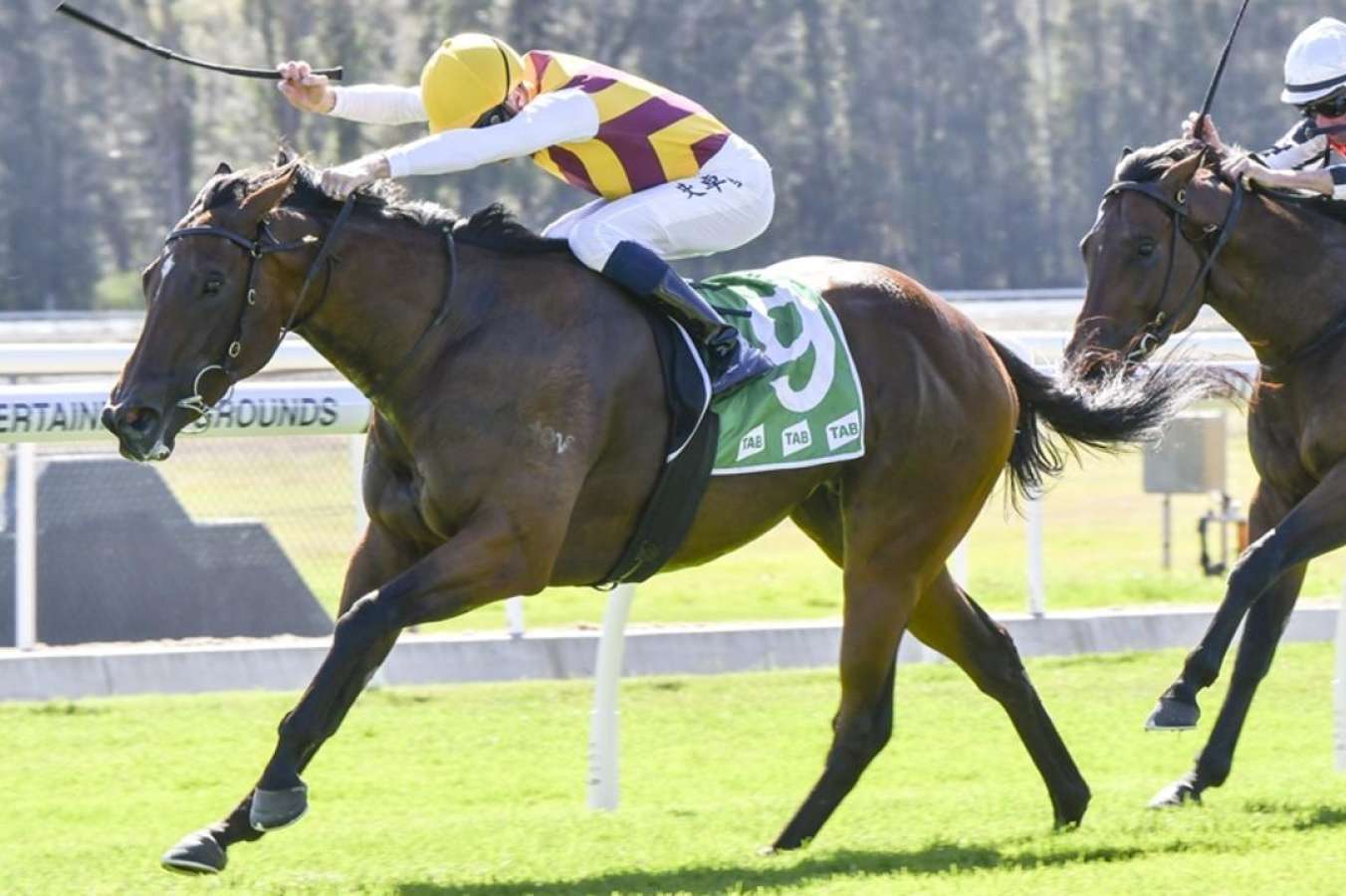 Winners to keep on flowing for the newly engaged Annabel Neasham and ...