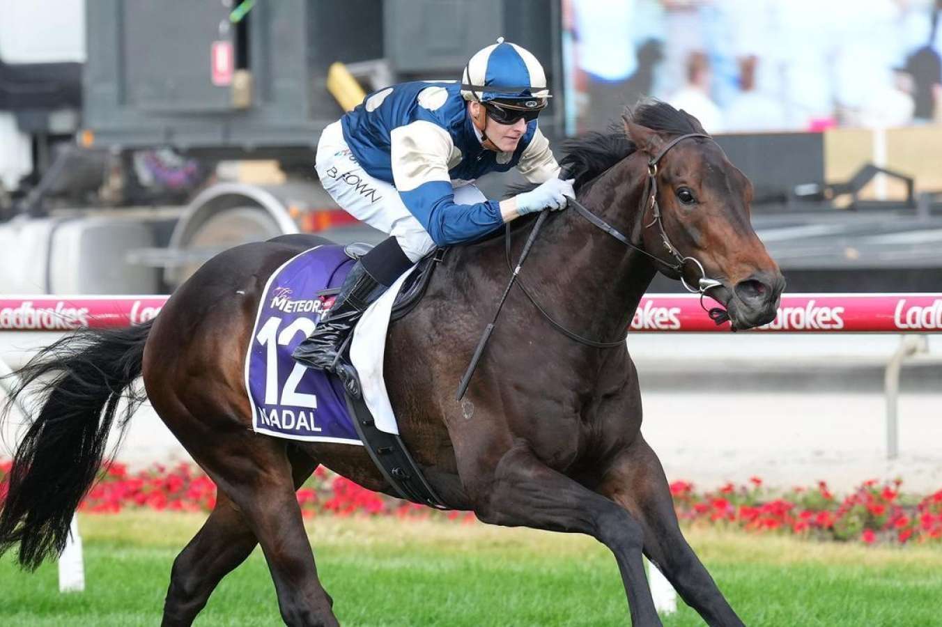 Jockey Ethan Brown chases Southside feature double-double with Nadal in ...