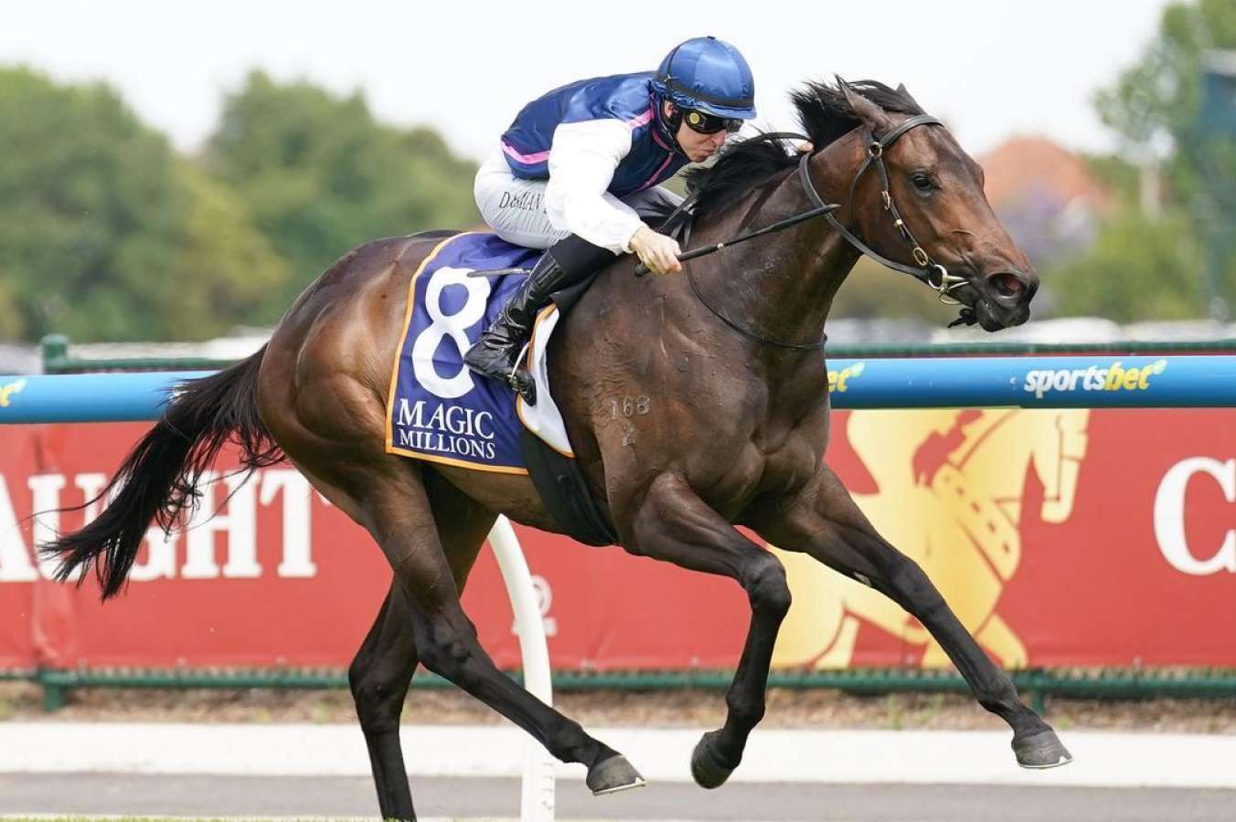 An impressive debut performance from Invincible Woman earns her a shot ...