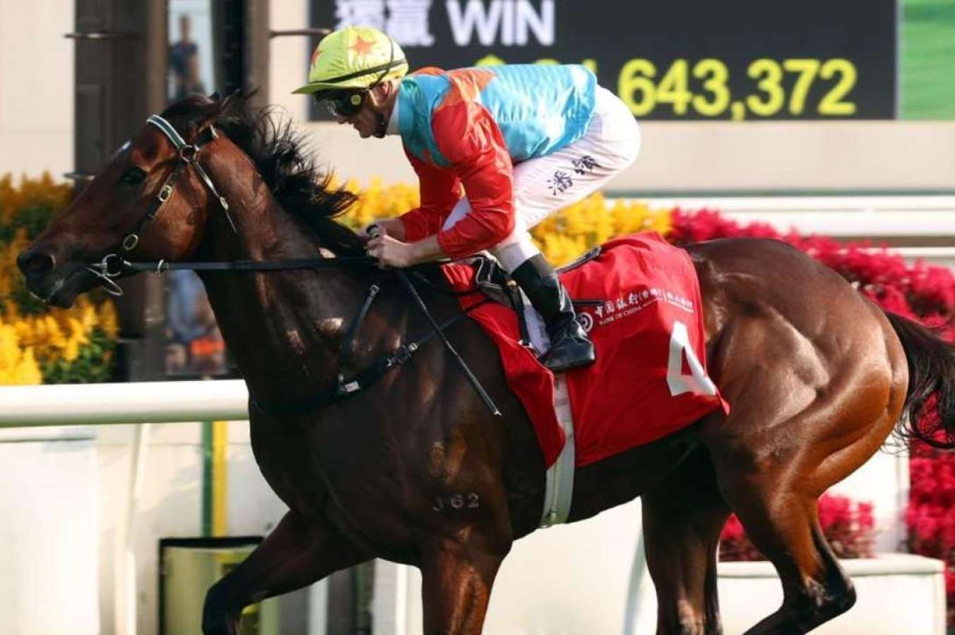 Ka Ying Rising smashes 17-year-old track record to win Jockey Club ...