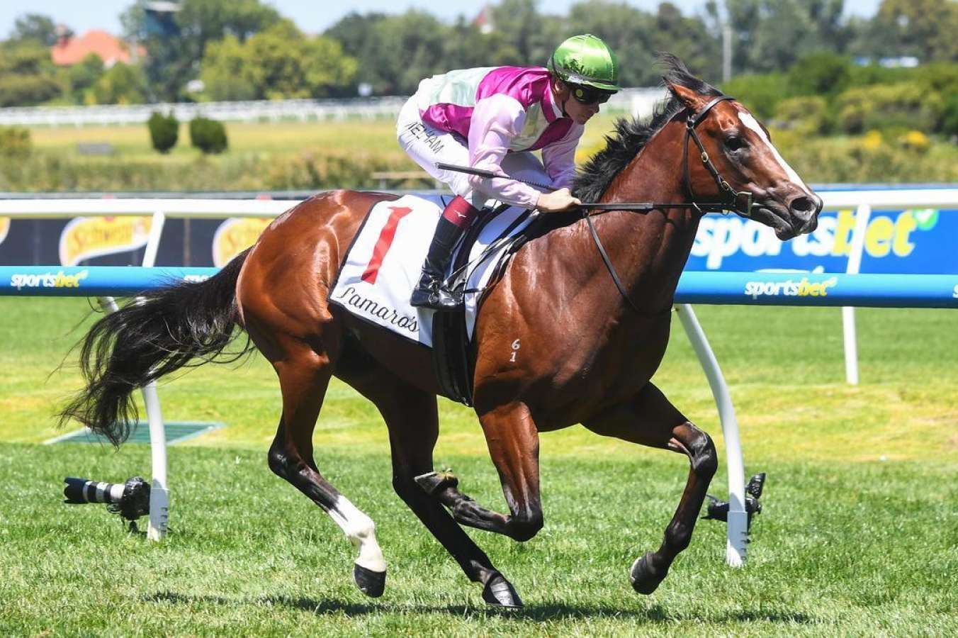 Disgruntled owner fails to scratch Coleman via Supreme Court