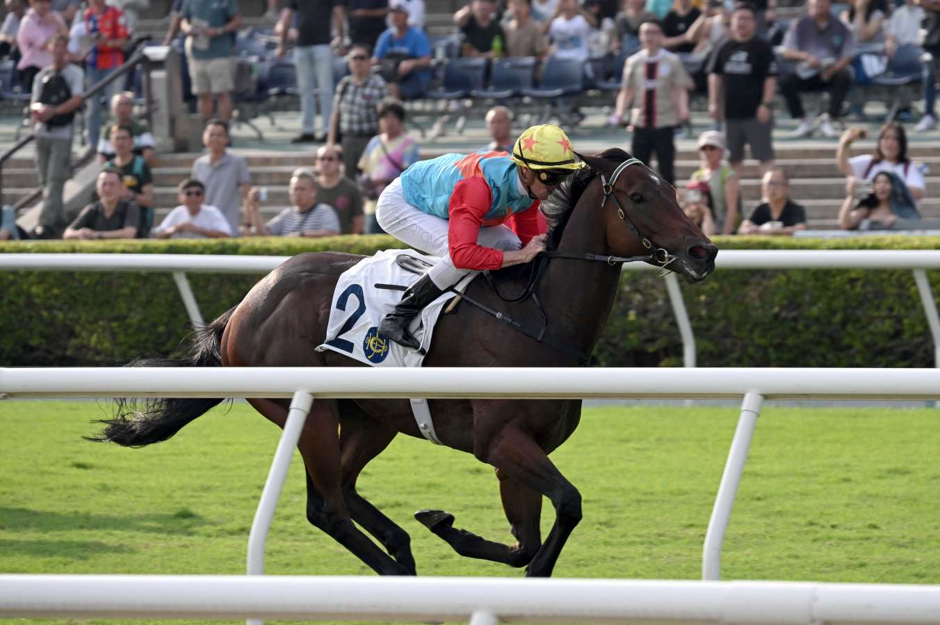 Exciting sprinter Ka Ying Rising seeks another Group 2 blitz at Sha Tin