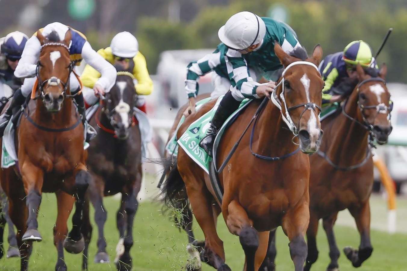 Big bets review: The hits & misses from Saturday racing