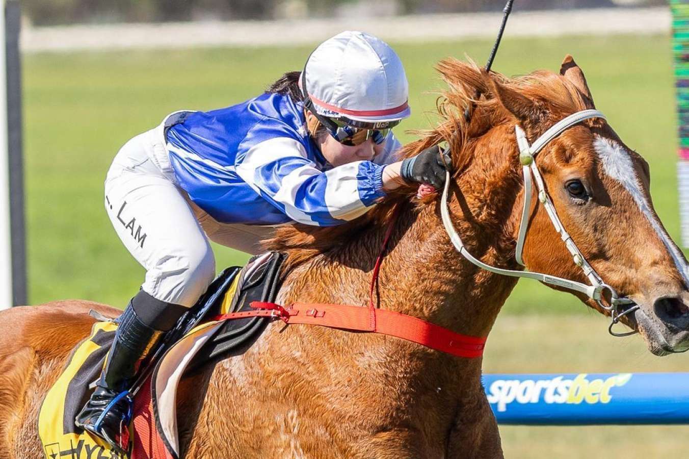 Injured apprentice jockey Ivy Lam out of hospital, returning to Hong Kong