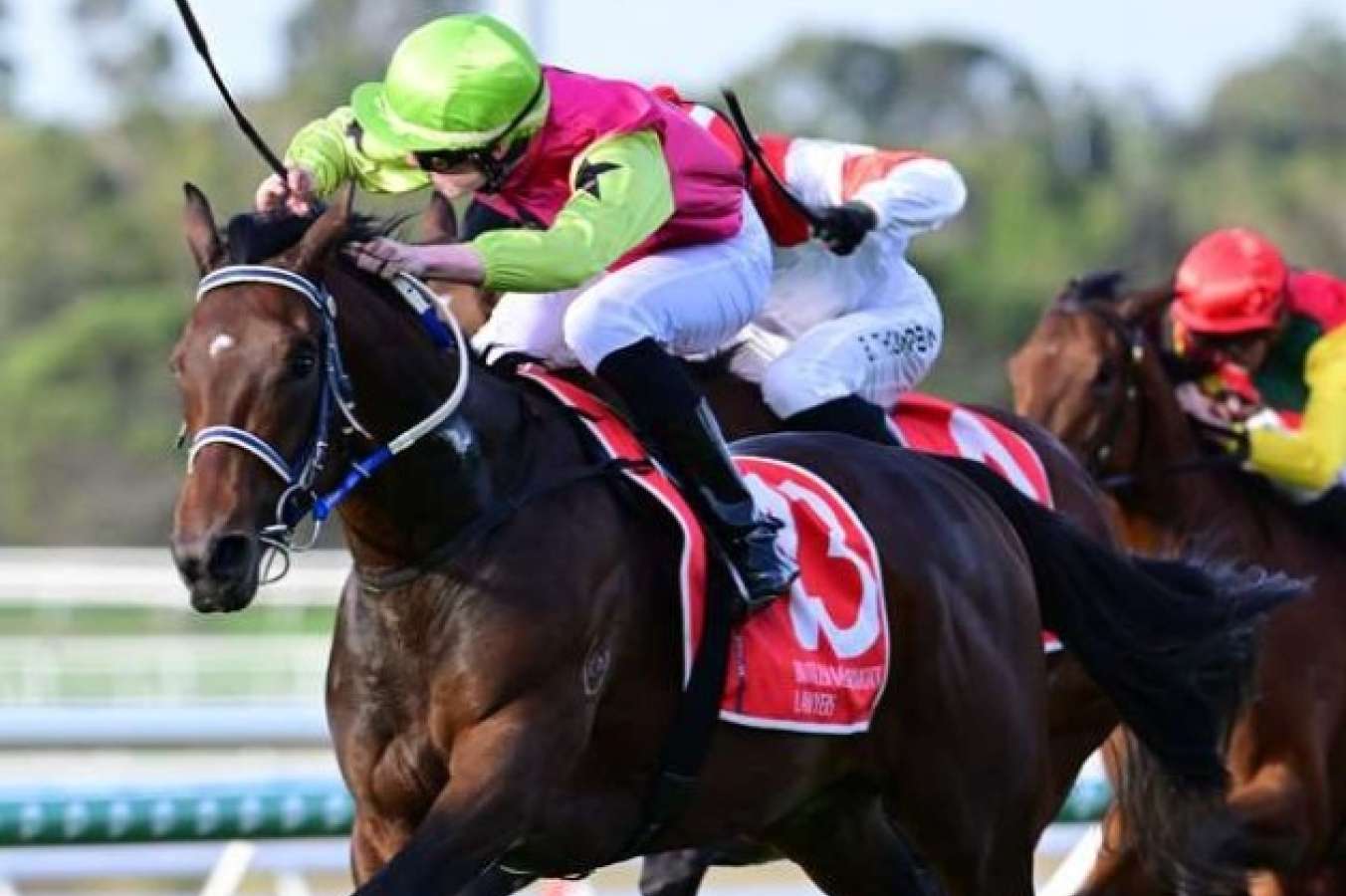 Knights Choice wins 2024 Melbourne Cup