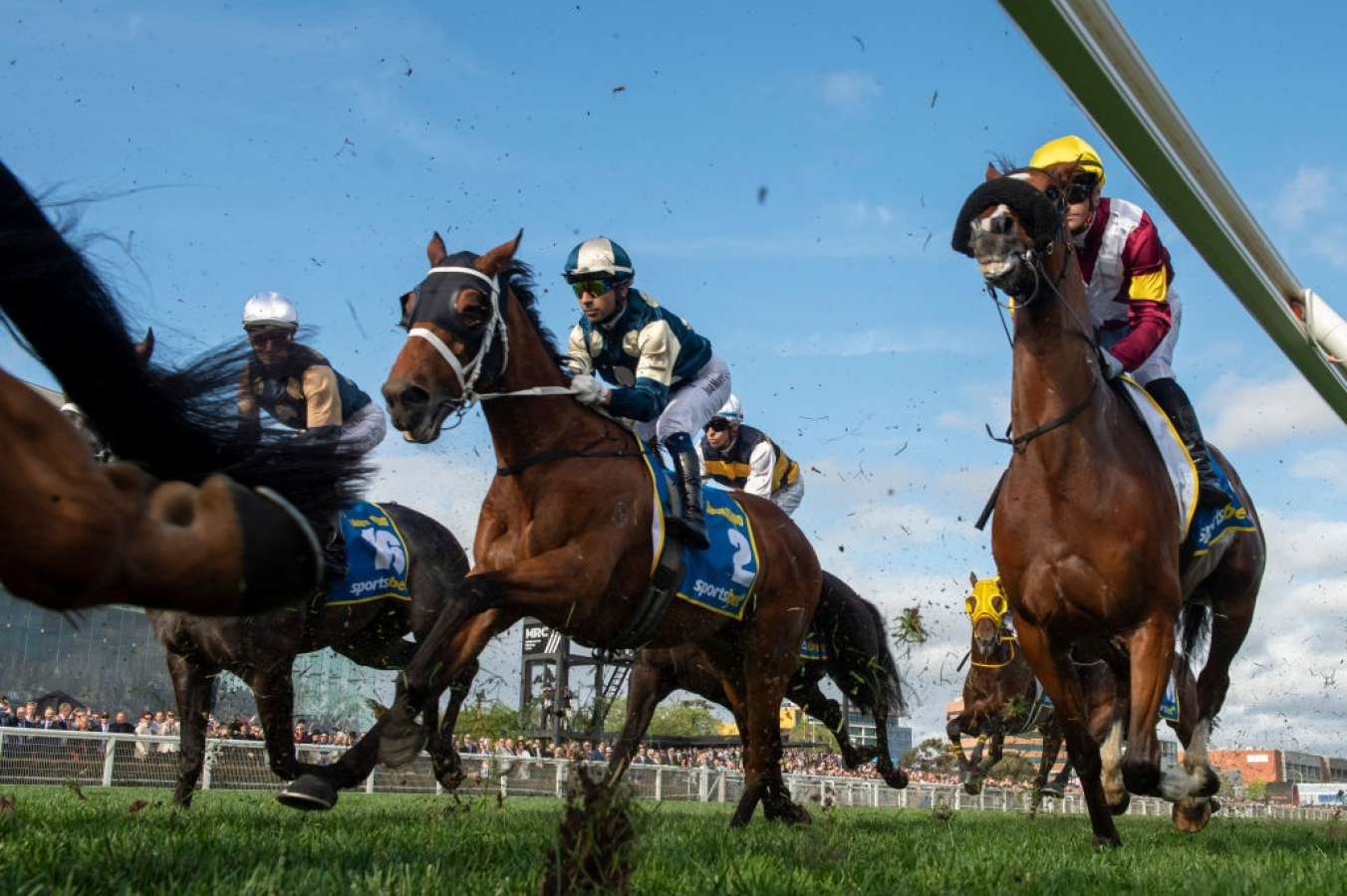 Melbourne Cup 2024 tips for the Trifecta and First Four