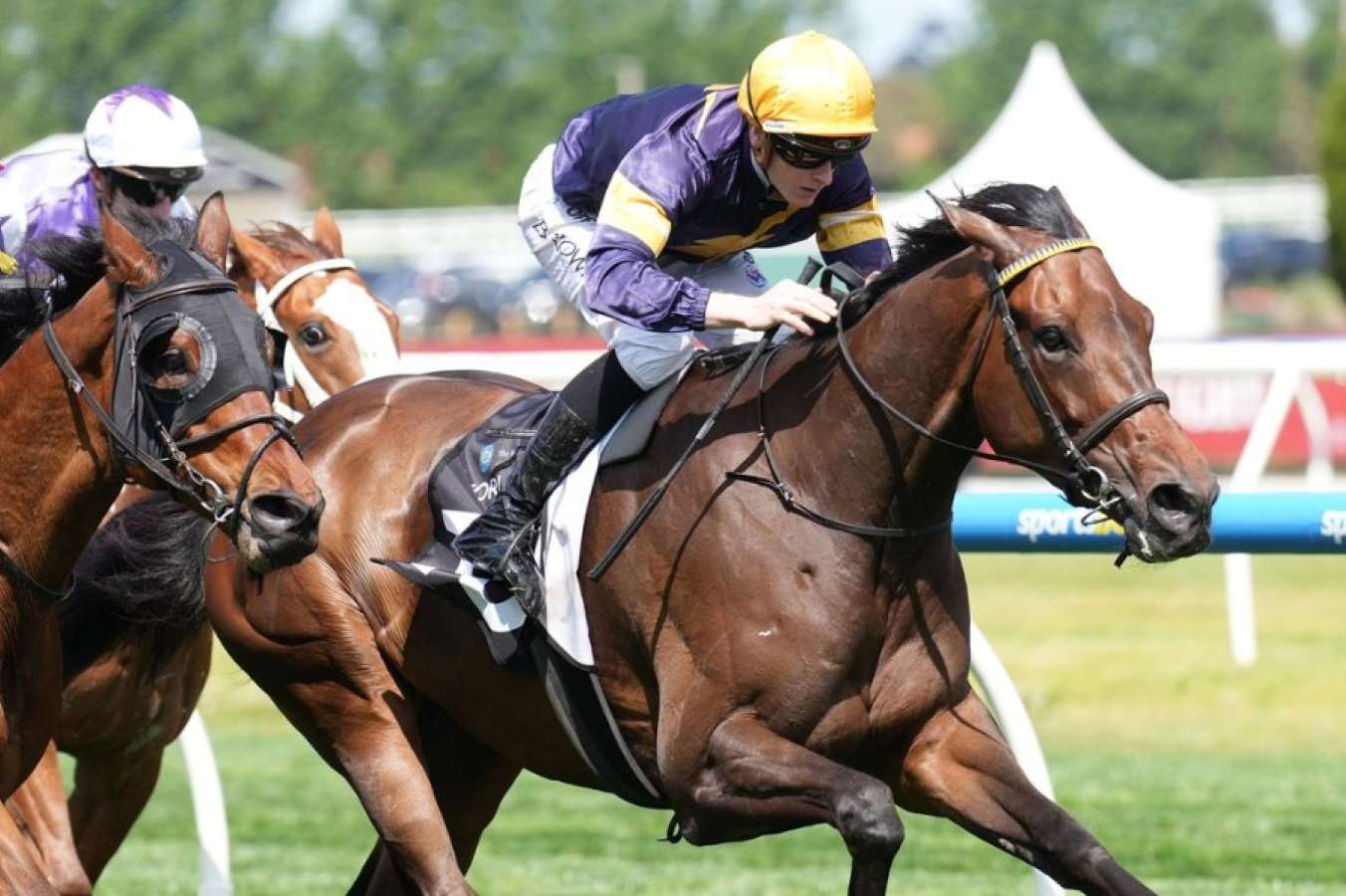 Michael Moroney back at the races after health battle as he eyes ...