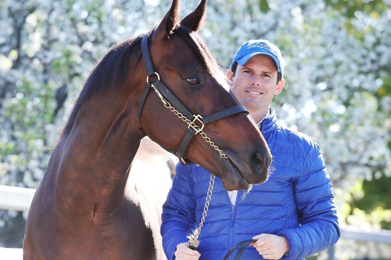 Broadsiding has the right pedigree to follow Anamoe to Cox Plate glory