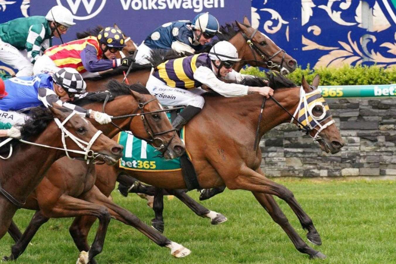 Geelong Cup Day preview and tips