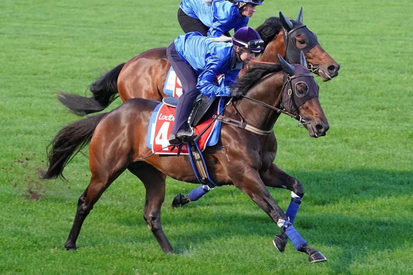The field and barrier draw for the 2024 Cox Plate