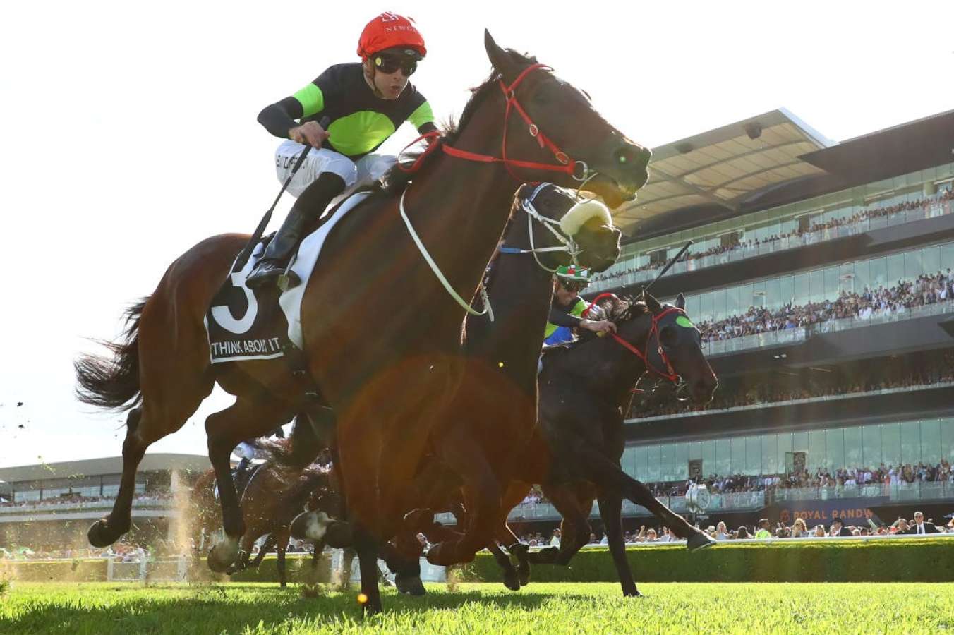 Trainer Joe Pride says its a miracle Think About It is still alive ...