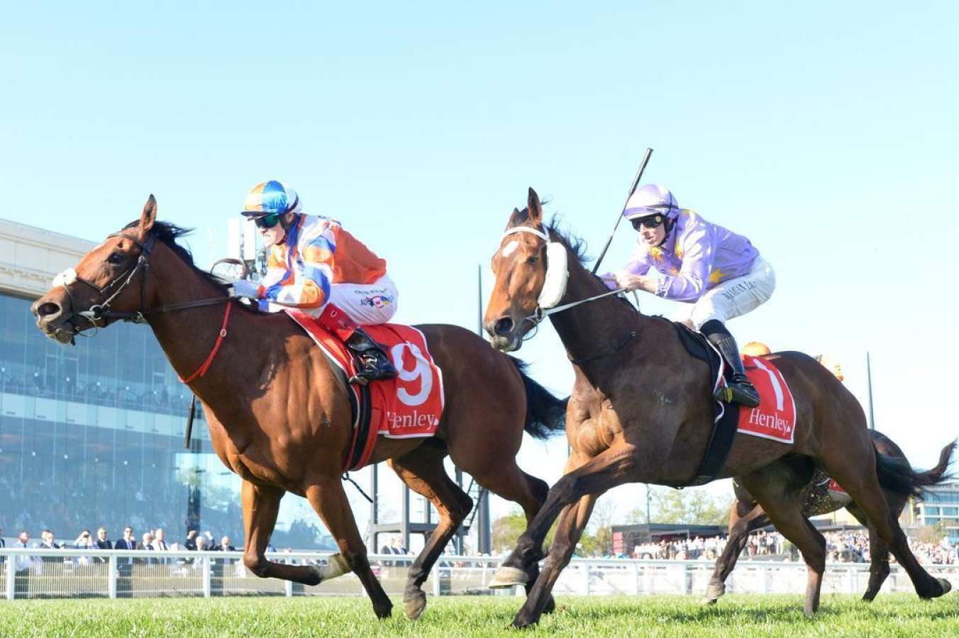 Te Akau Racing smart sprinter Bellatrix Star earns shot at the Group 1 ...