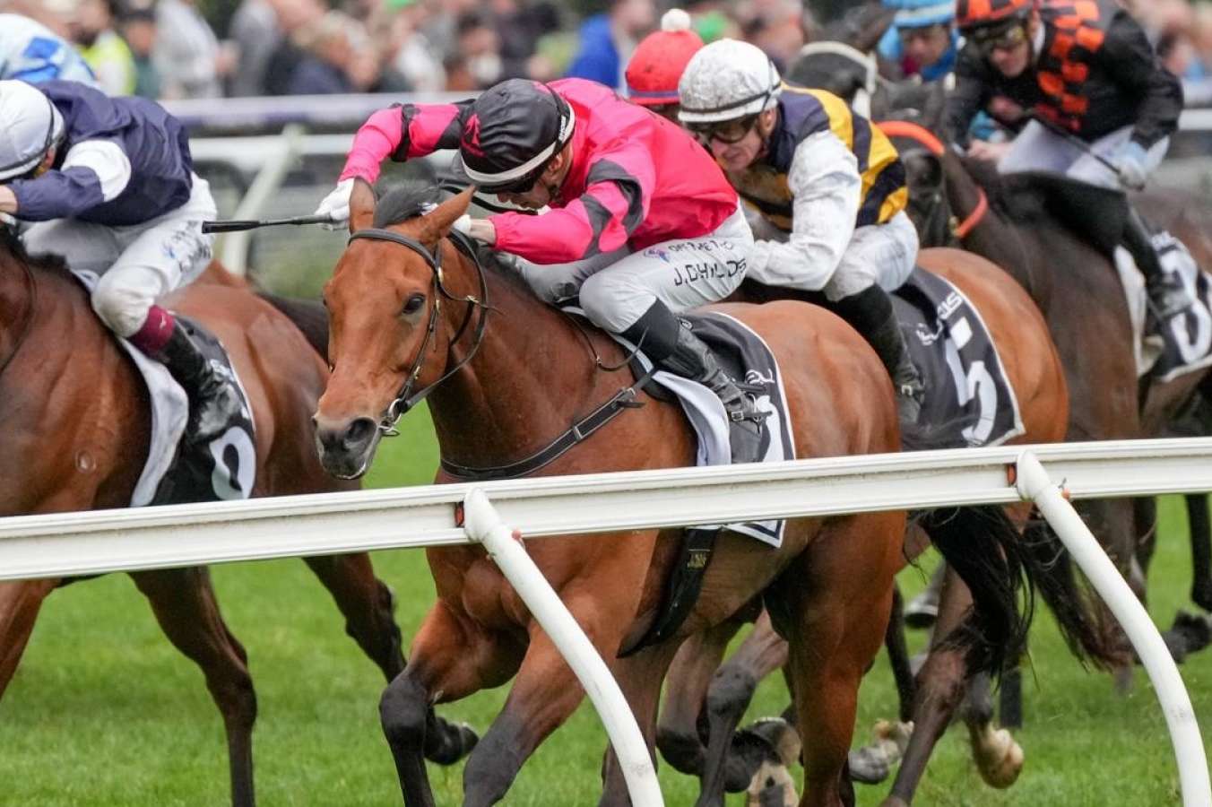 Racing Victoria announces Melbourne Cup weight penalty for Bart ...