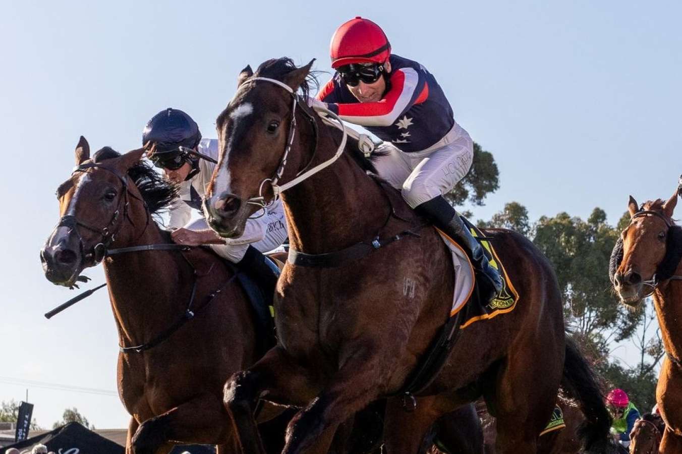 Air Assault aiming for Toorak Handicap after Saturdays run at Morphettville