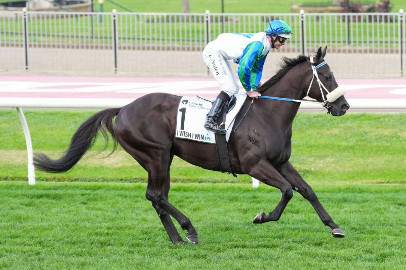 Manikato Stakes Field - 2024