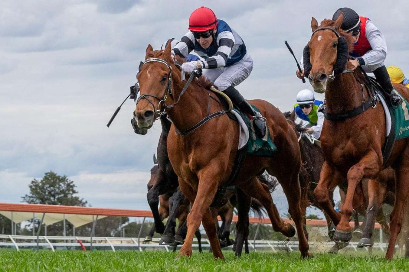 Trainers Shayne and Chelsea Cahill off to winning start in new partnership