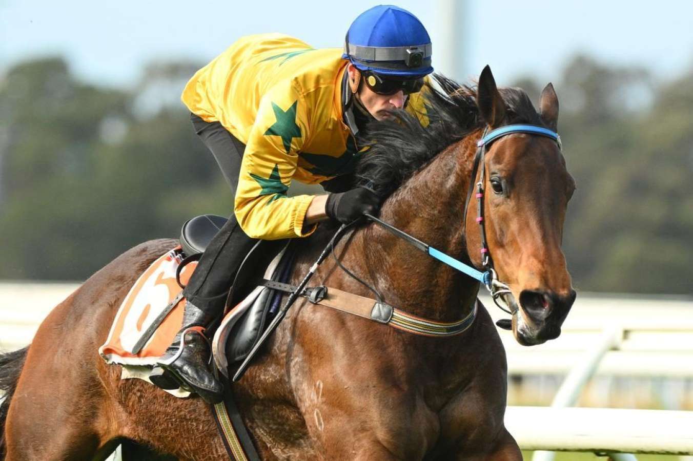 Confident Estriella the clear favourite for Group 1 Moir Stakes at The ...