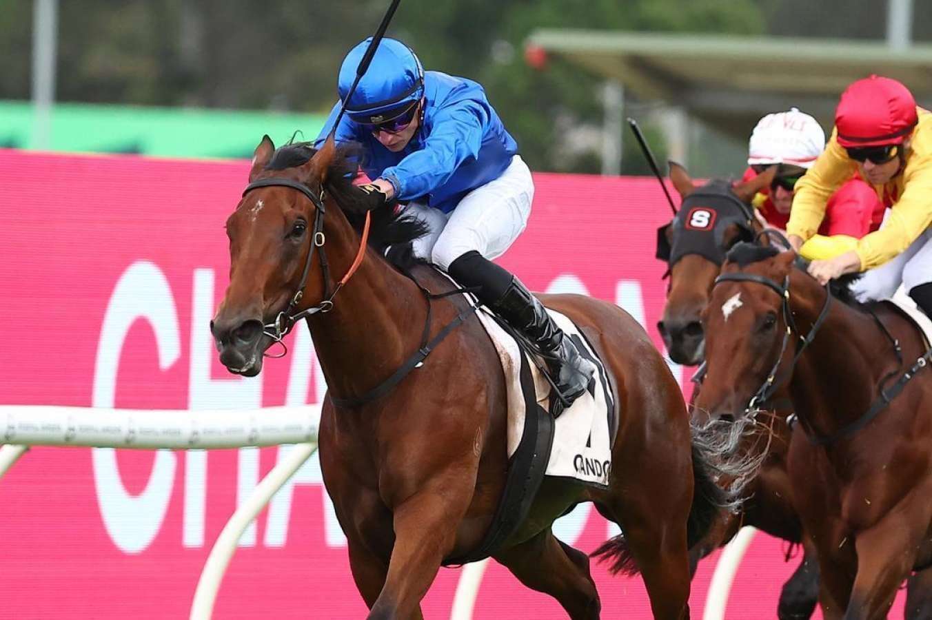 James Cummings previews Saturdays contenders