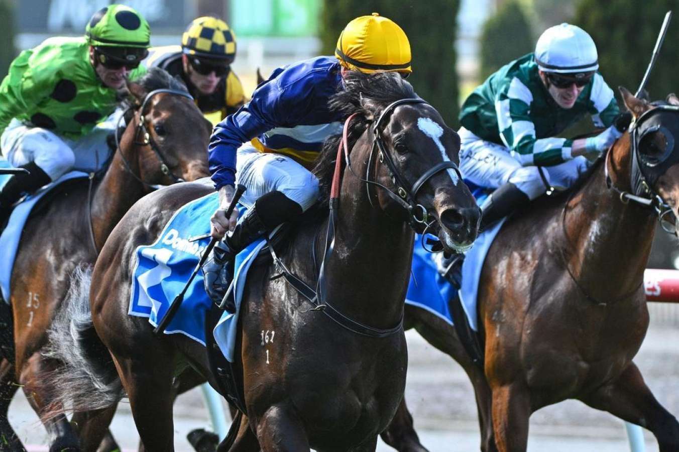 Tony McEvoy planning to back-up Valley winner Blue Stratum in Group 3 ...