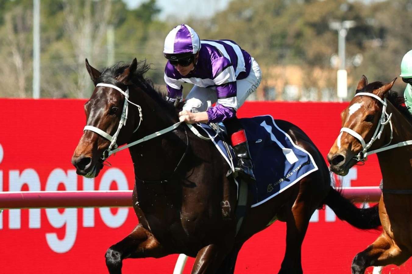 Futures watch: Picking a roughie to back for every Group 1 in Melbourne ...