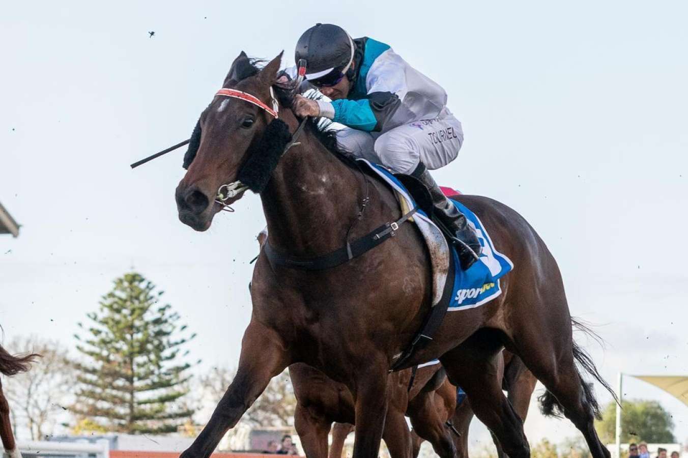 Lingani thunders home in Lightning Stakes as Will Clarken and Niki ...