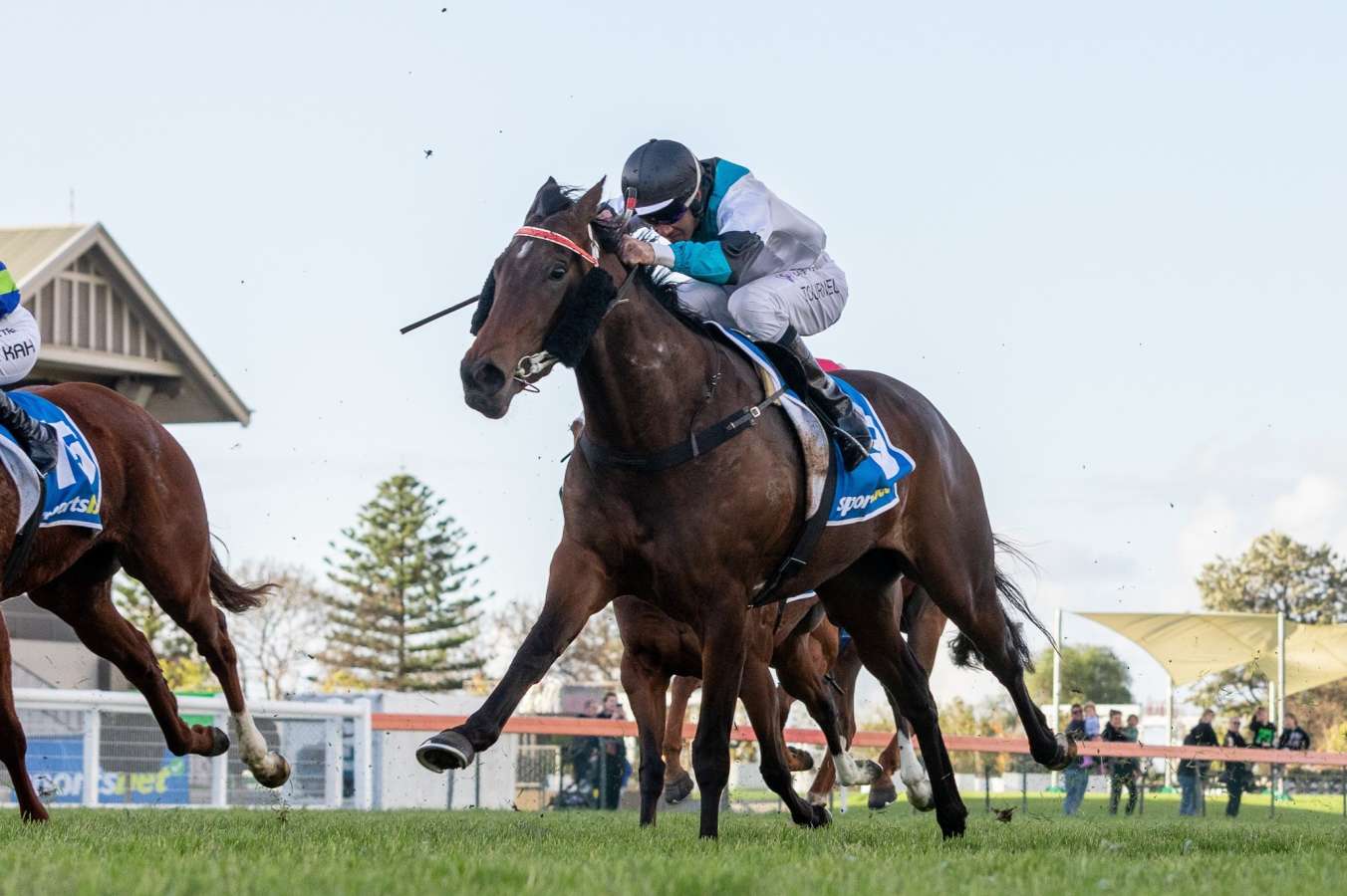 Punters post-race: Saturday racing in review [July 27, 2024]