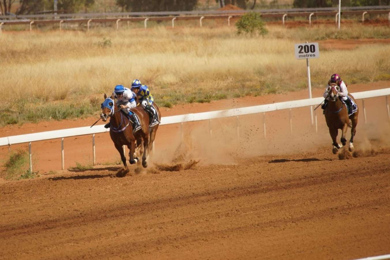 Outback bookmaker Gary Peoples says Fabs Cowboy finds a way to sting you