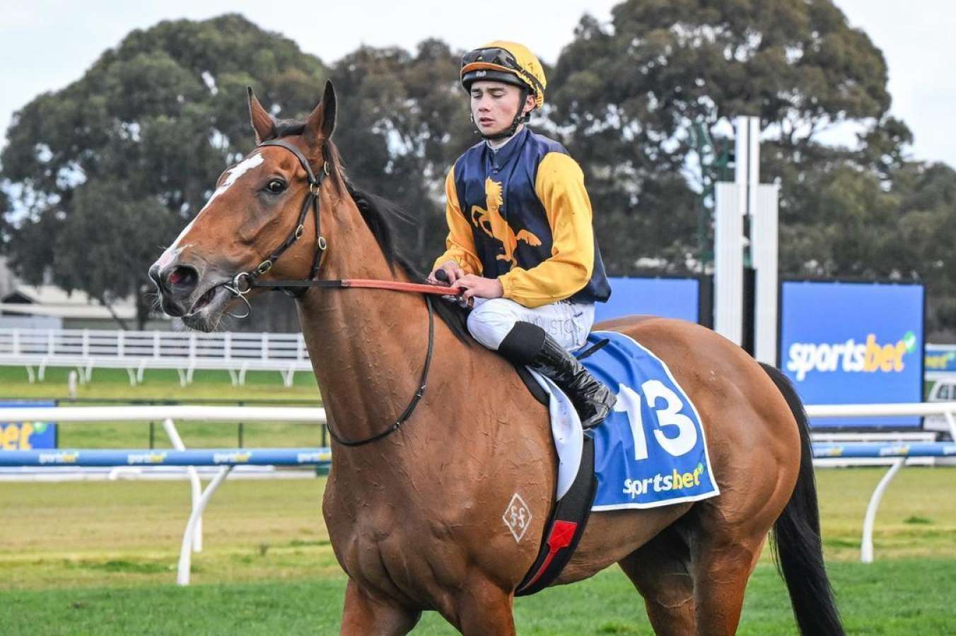 Thankful hes on my side: Jockey Ryan Houston repays Grahame Beggs faith ...