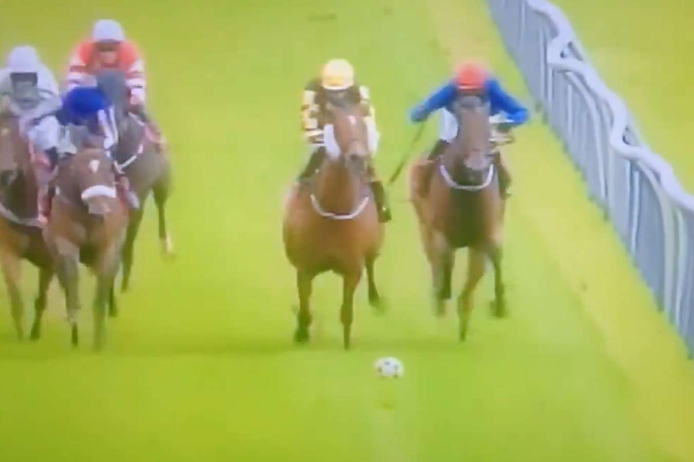 Things You Might Have Missed - June 24