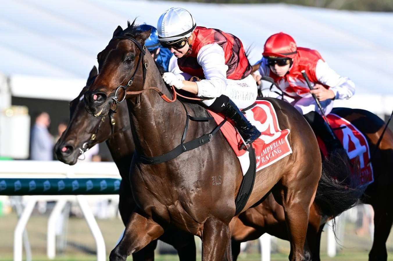 At Witz End wins Eye Liner Stakes for Cejay Graham replacing Sam ...