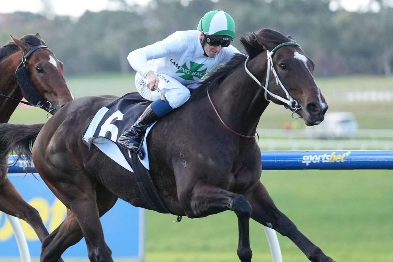 Patience is paying off: Richard Laming-trained Name Dropper protects ...