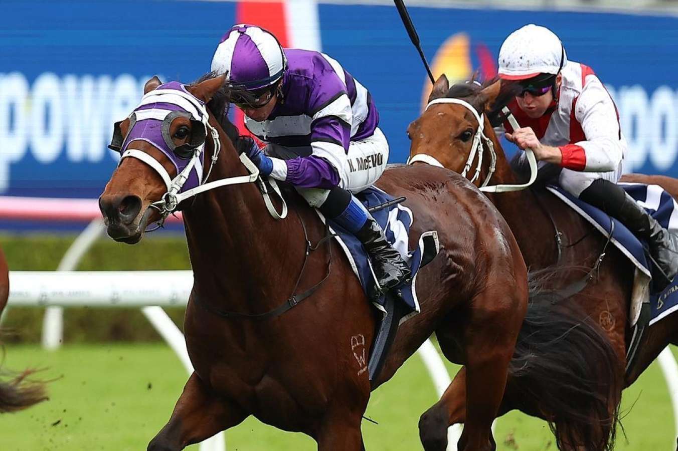 Bright Red carpet: Winx owner goes from premiere to winners stall