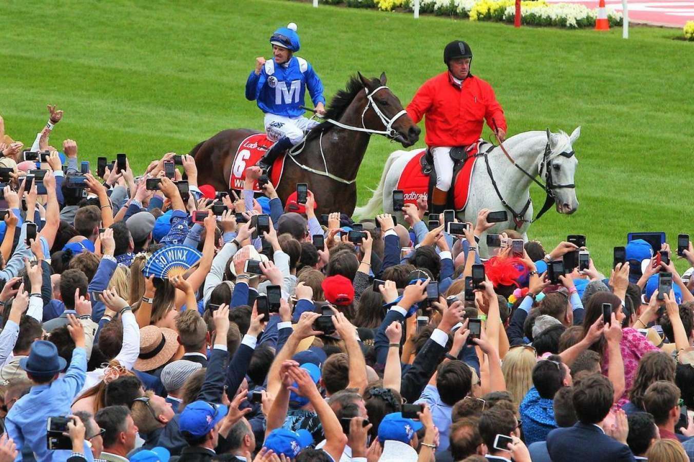 Red carpet rolled out for Winx movie premiere