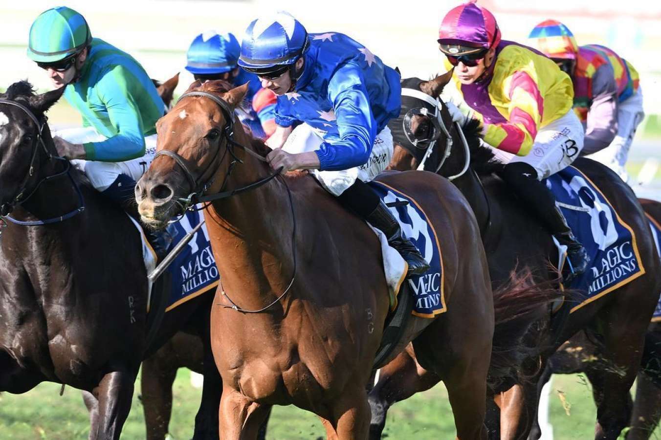 Munces Angel sprouts wings to win Bright Shadow