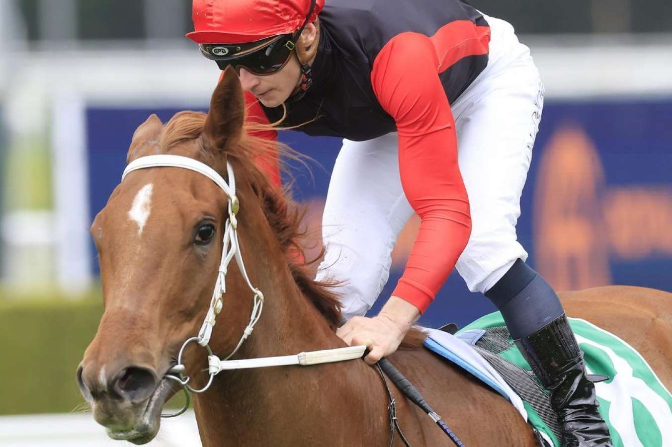 Trainer Luke Pepper circles Group 1 Tatts Tiara as Opal Ridges grand final