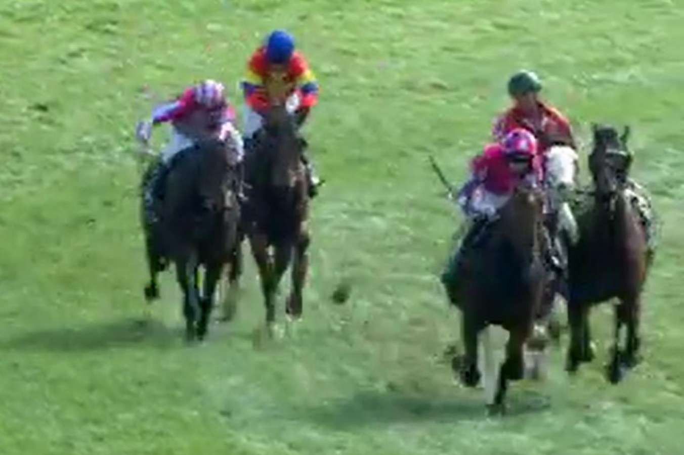 Wild scenes at Warrnambool involving clerk of the course and riderless ...