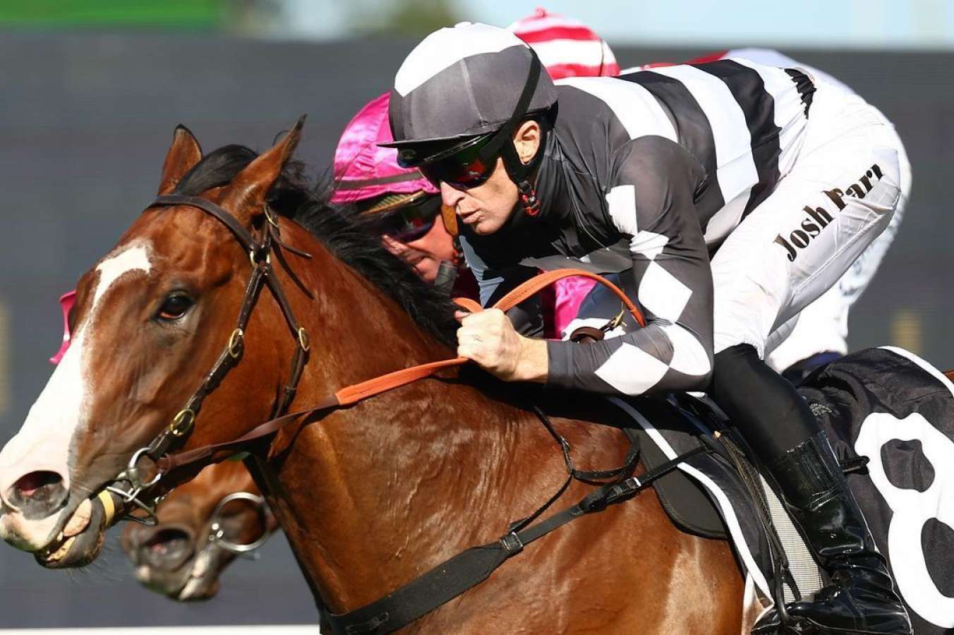 Quokka-winning duo cause a blowout with Disneck